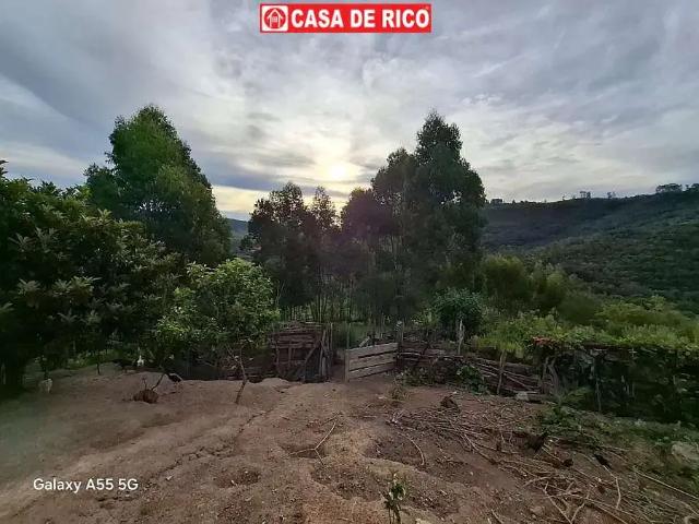 Sítio / Chácara para Venda em São Jerônimo da Serra/PR Arixiguana
