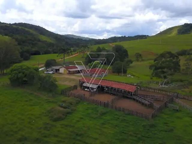 Sítio / Chácara para Venda em São Jerônimo da Serra/PR Terra Nova 5 Quartos