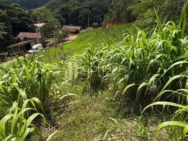 Sítio / Chácara para Venda em São João Batista/SC Zona Rural