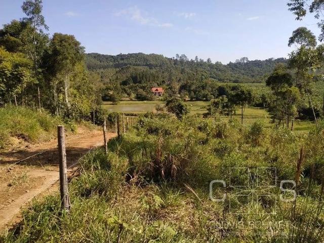 Sítio / Chácara para Venda em São João do Itaperiú/SC Zona Rural