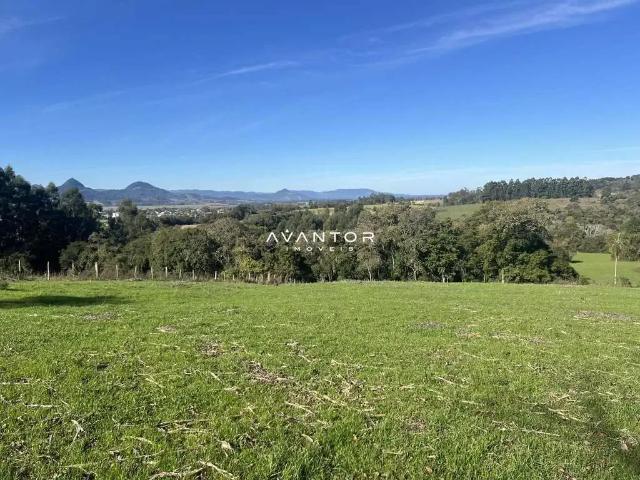 Sítio / Chácara para Venda em São João do Polesine/RS Zona Rural