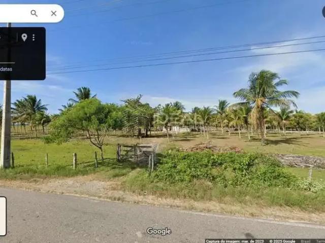 Sítio / Chácara para Venda em São João da Barra/RJ Cajueiro 2 Quartos