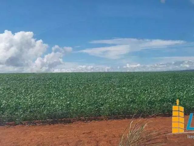 Sítio / Chácara para Venda em São João D'Aliança/GO Zona Rural