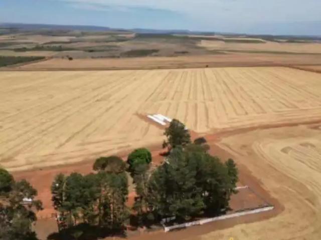Sítio / Chácara para Venda em São João D'Aliança/GO Zona Rural