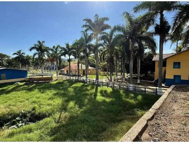 Sítio / Chácara para Venda em São João Nepomuceno/MG Centro 5 Quartos