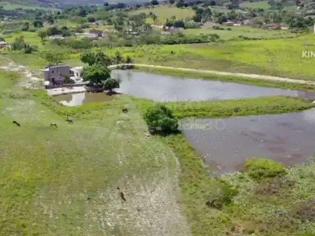 Sítio / Chácara para Venda em São Joaquim do Monte/PE Centro 3 Quartos