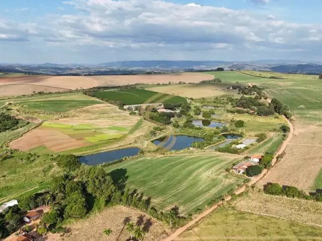 Sítio / Chácara para Venda em São José do Rio Pardo/SP Zona Rural 6 Quartos