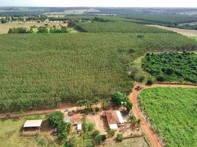 Sítio / Chácara para Venda em São José do Rio Preto/SP Área Rural de São José do Rio Preto 3 Quartos