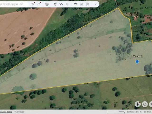Sítio / Chácara para Venda em São José do Rio Preto/SP Área Rural de São José do Rio Preto 2 Quartos