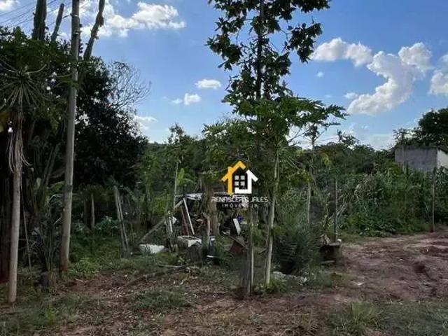 Sítio / Chácara para Venda em São José do Rio Preto/SP Brejo Alegre