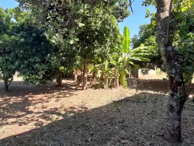 Sítio / Chácara para Venda em São José do Rio Preto/SP Estância Chácara Santo Antônio Zona Rural 2 Quartos