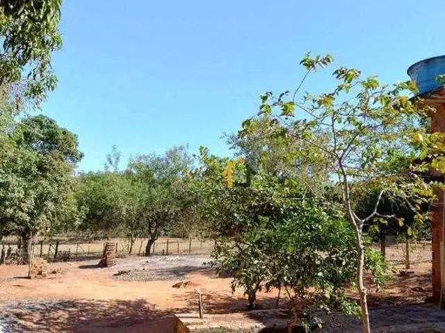 Sítio / Chácara para Venda em São José do Rio Preto/SP Estância Jóckei Club 1 Quartos