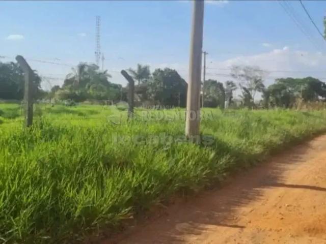 Sítio / Chácara para Venda em São José do Rio Preto/SP Estância Navarrete Zona Rural