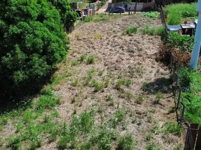 Sítio / Chácara para Venda em São José do Rio Preto/SP Estância São Francisco Zona Rural