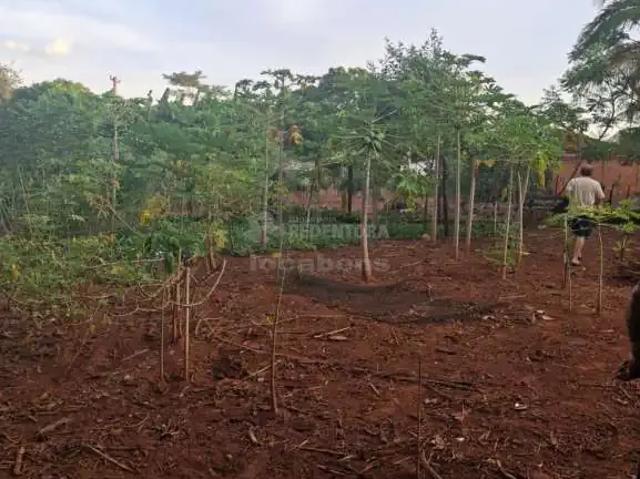 Sítio / Chácara para Venda em São José do Rio Preto/SP Estância São Judas Tadeu Zona Rural