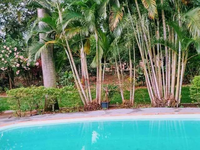 Sítio / Chácara para Venda em São José do Rio Preto/SP Estância Primavera Zona Rural 1 Quartos