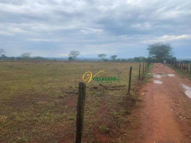 Sítio / Chácara para Venda em São José do Rio Preto/SP Fazenda São Pedro Zona Rural