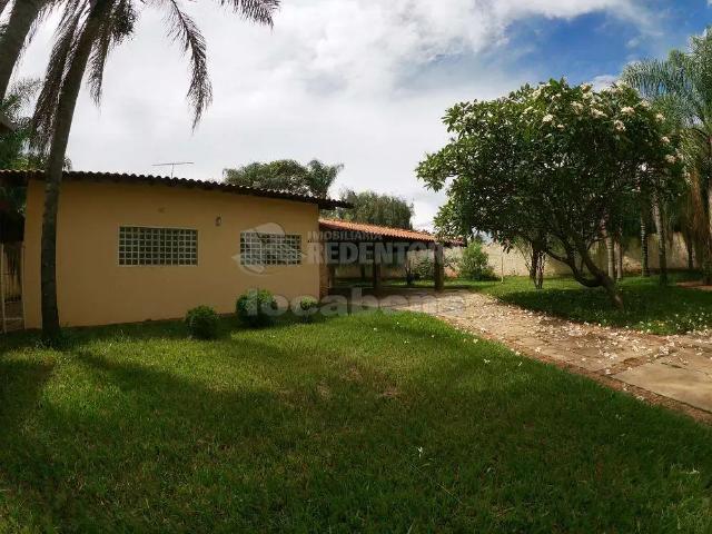 Sítio / Chácara para Venda em São José do Rio Preto/SP Loteamento Parque dos Pássaros 3 Quartos