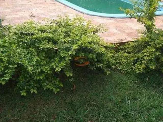 Sítio / Chácara para Venda em São José do Rio Preto/SP São Luiz II Talhado 3 Quartos