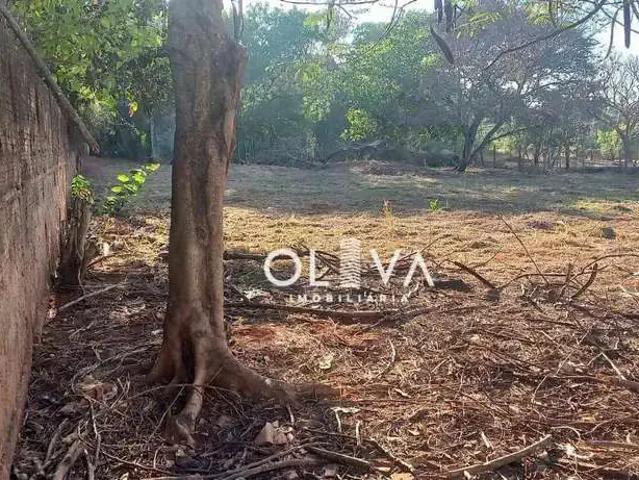 Sítio / Chácara para Venda em São José do Rio Preto/SP Residencial Cavalari Zona Rural 1 Quartos