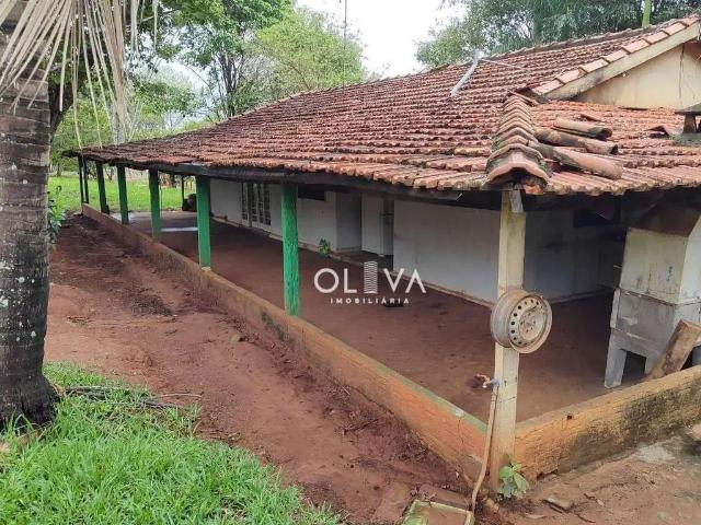 Sítio / Chácara para Venda em São José do Rio Preto/SP Vila São Jorge 4 Quartos