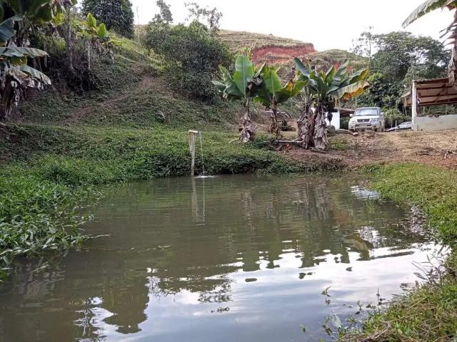 Sítio / Chácara para Venda em São José dos Campos/SP Água Soca 2 Quartos