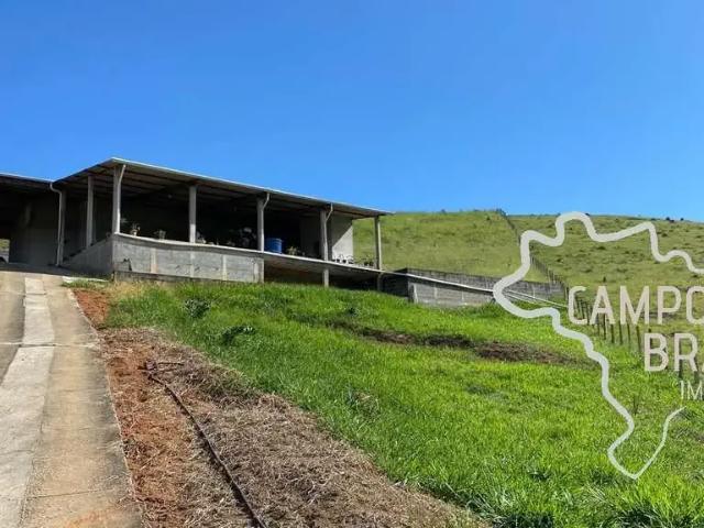 Sítio / Chácara para Venda em São José dos Campos/SP Área Rural de São José dos Campos 5 Quartos