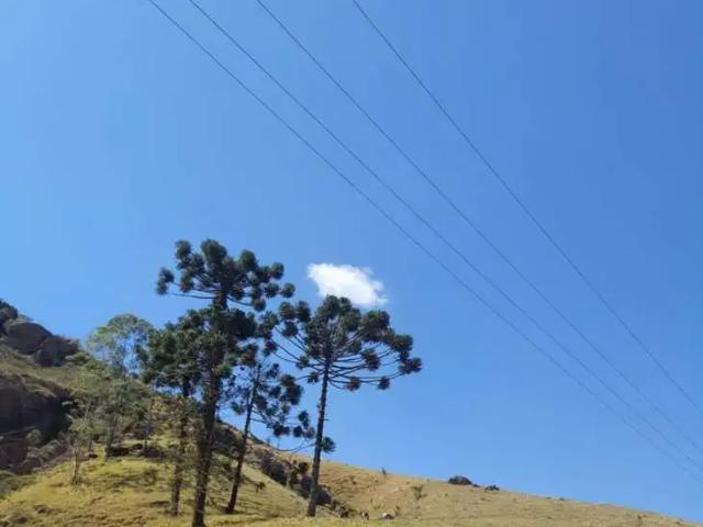 Sítio / Chácara para Venda em São José dos Campos/SP Área Rural de São José dos Campos
