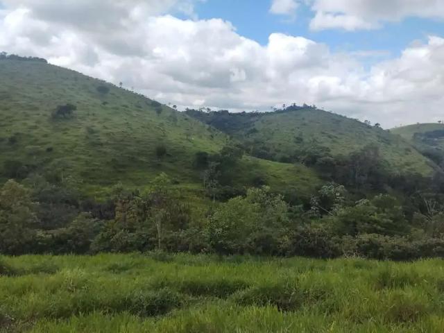 Sítio / Chácara para Venda em São José dos Campos/SP Buquirinha