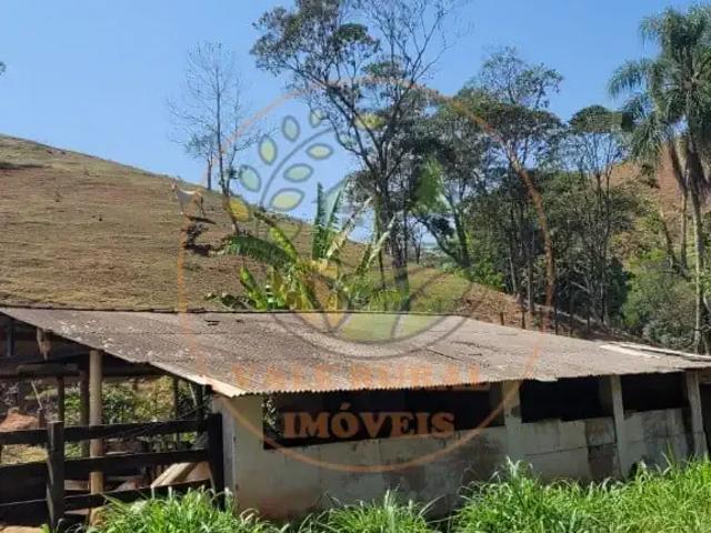 Sítio / Chácara para Venda em São José dos Campos/SP Buquirinha II