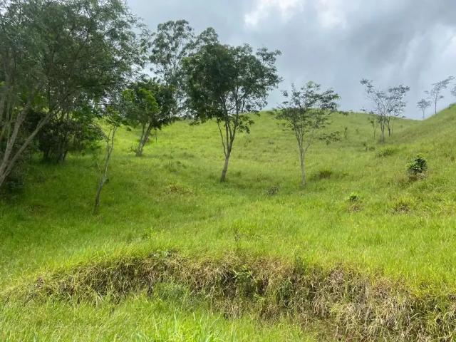 Sítio / Chácara para Venda em São José dos Campos/SP Buquirinha II