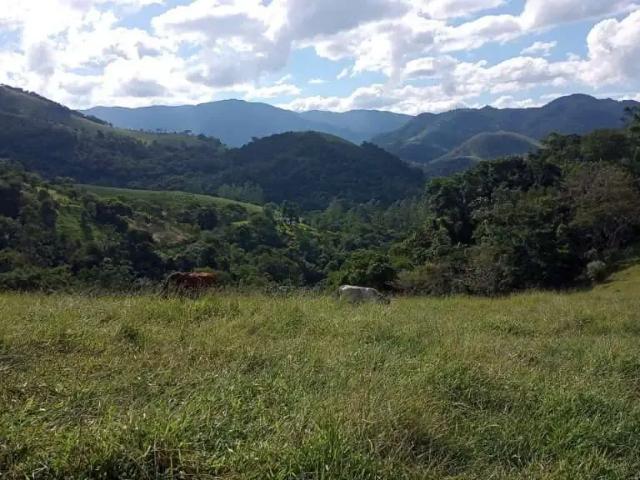 Sítio / Chácara para Venda em São José dos Campos/SP Centro