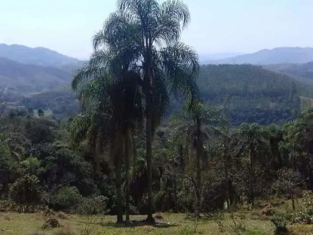Sítio / Chácara para Venda em São José dos Campos/SP Costinha