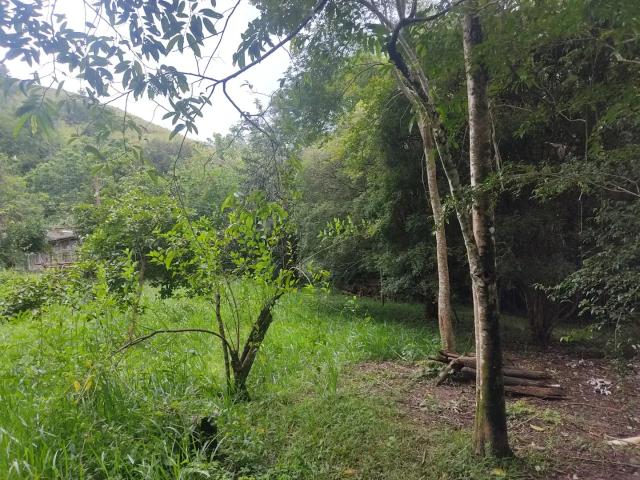 Sítio / Chácara para Venda em São José dos Campos/SP Freitas 4 Quartos