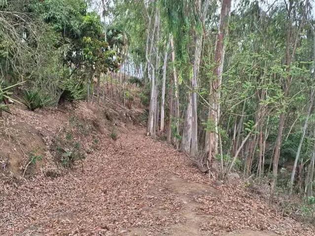 Sítio / Chácara para Venda em São José dos Campos/SP Jaguari