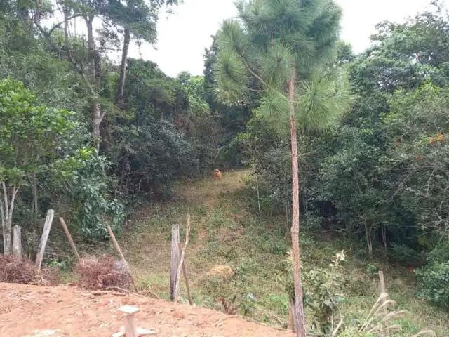 Sítio / Chácara para Venda em São José dos Campos/SP Pau de Saia