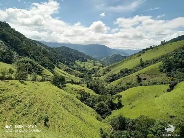 Sítio / Chácara para Venda em São José dos Campos/SP São Francisco Xavier