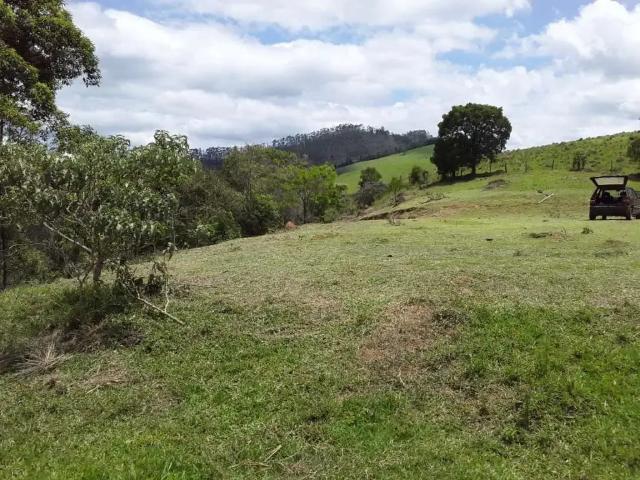 Sítio / Chácara para Venda em São José dos Campos/SP São Francisco Xavier