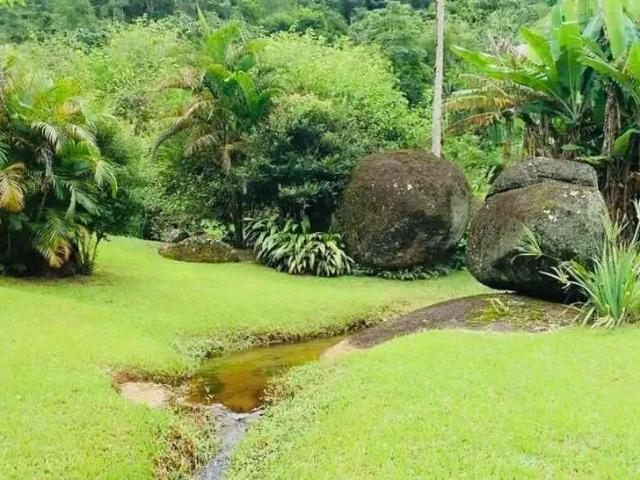 Sítio / Chácara para Venda em São José dos Campos/SP São Francisco Xavier 7 Quartos