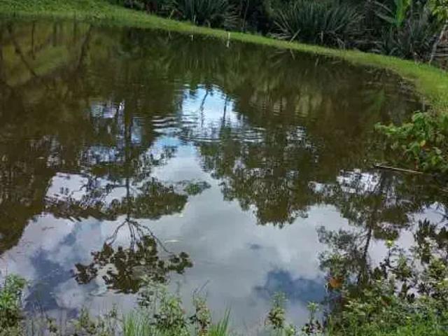 Sítio / Chácara para Venda em São José dos Campos/SP Santana 1 Quartos
