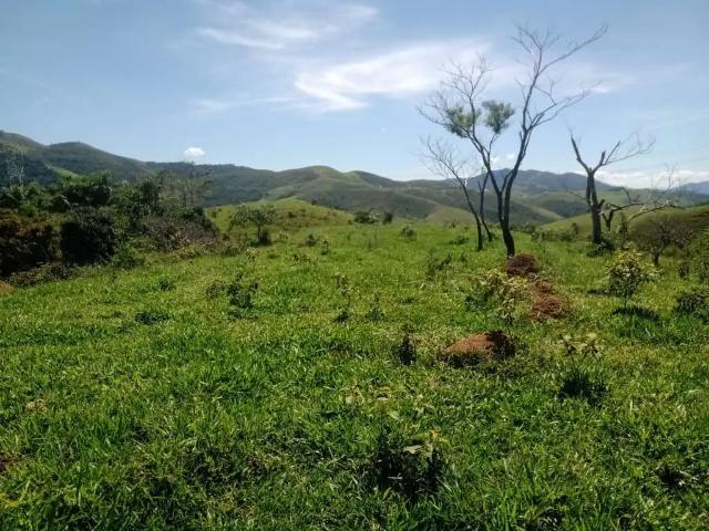 Sítio / Chácara para Venda em São José dos Campos/SP Santana