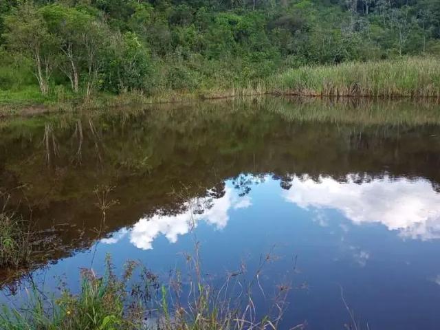Sítio / Chácara para Venda em São José dos Campos/SP Santana