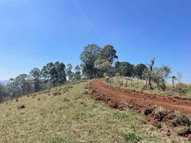 Sítio / Chácara para Venda em São José dos Campos/SP Turvo
