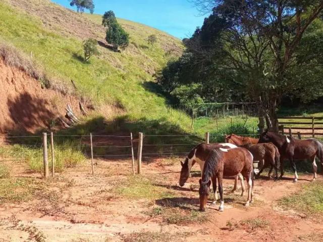 Sítio / Chácara para Venda em São José dos Campos/SP Turvo 1 Quartos