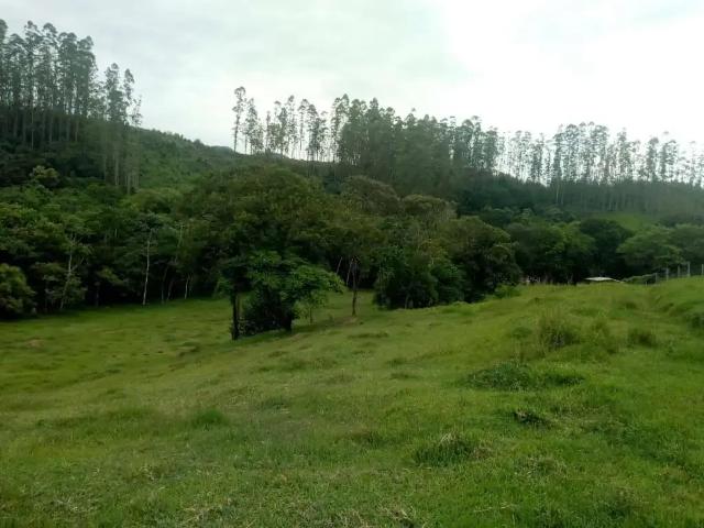 Sítio / Chácara para Venda em São José dos Campos/SP Vargem Grande