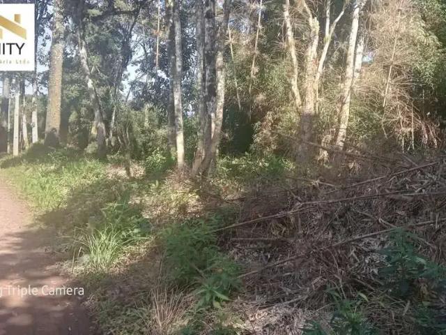 Sítio / Chácara para Venda em São José dos Pinhais/PR Zona Rural 1 Quartos