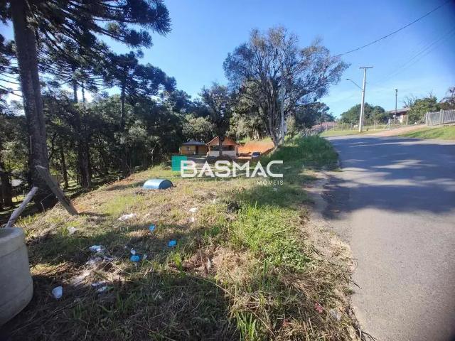 Sítio / Chácara para Venda em São José dos Pinhais/PR Zona Rural 2 Quartos