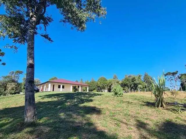 Sítio / Chácara para Venda em São José dos Pinhais/PR Área Rural de São José dos Pinhais 2 Quartos
