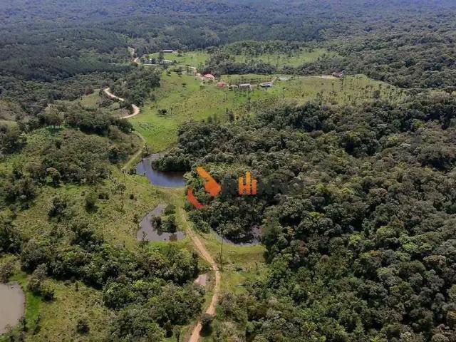 Sítio / Chácara para Venda em São José dos Pinhais/PR Zona Rural