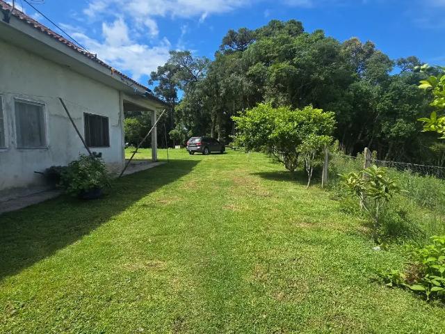 Sítio / Chácara para Venda em São José dos Pinhais/PR Zona Rural 3 Quartos